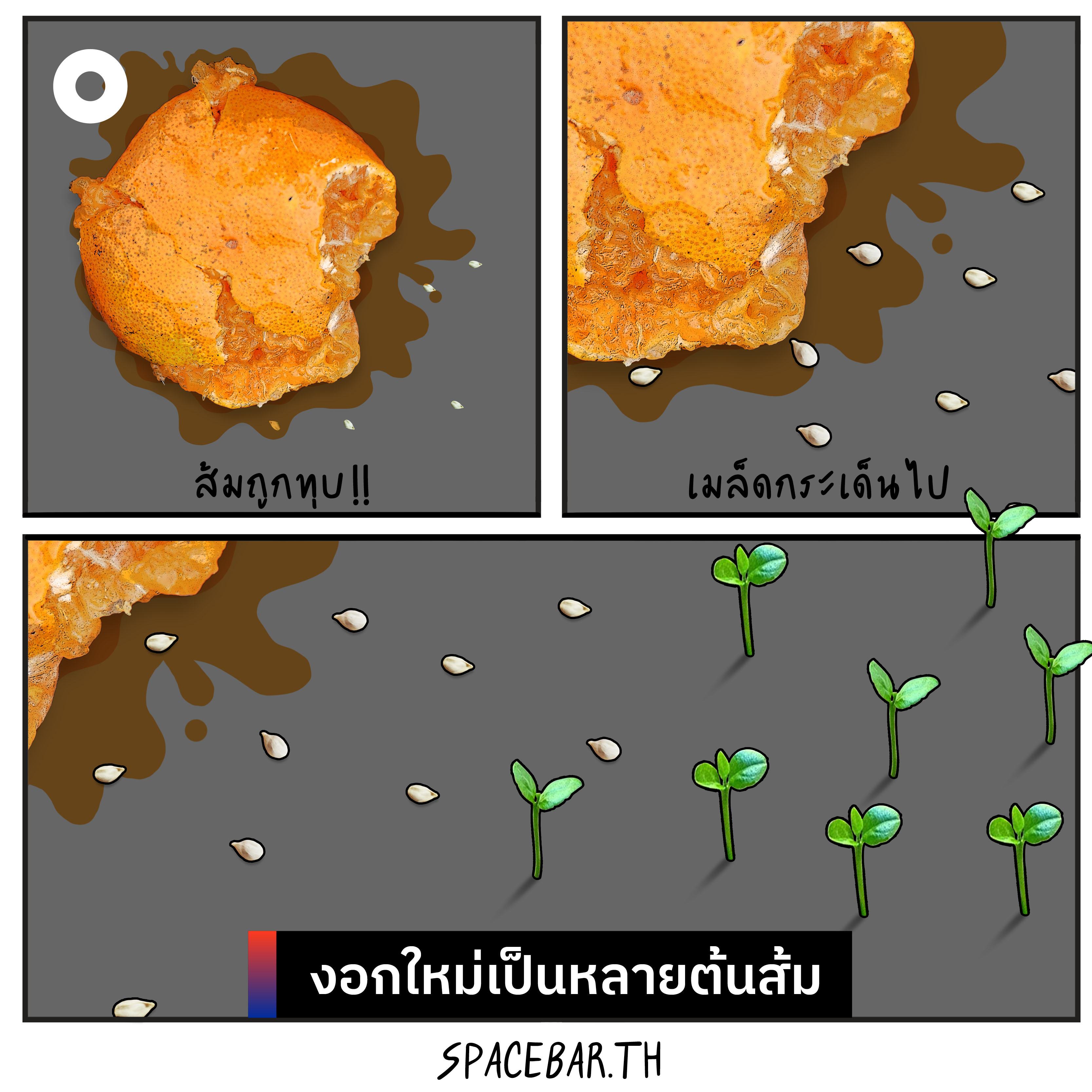 SpacebarToon - SPACEBAR• The new dimension of NEWS