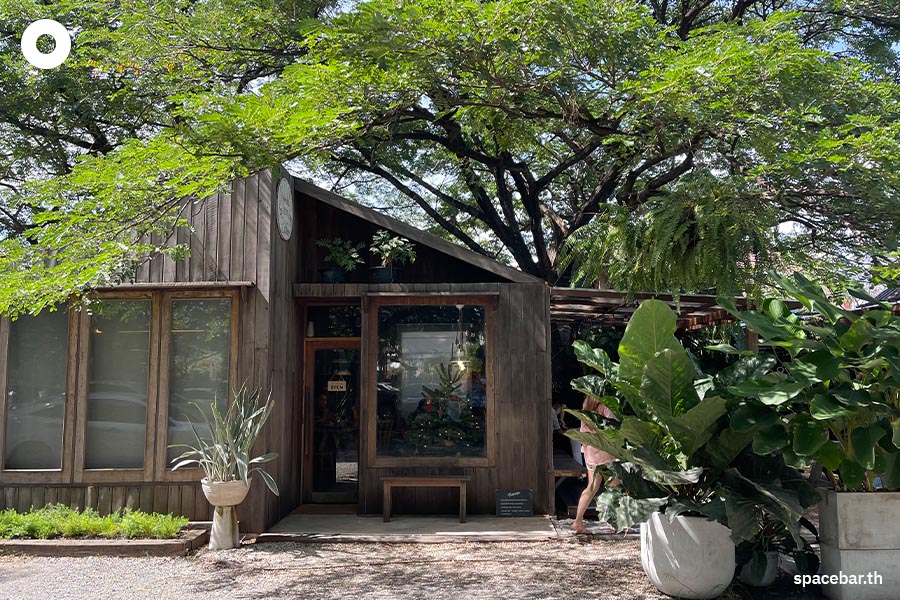 สระบุรีเลี้ยวขวาพาไปชิมพิซซ่าที่ ‘9th September Eat Drink Tree’