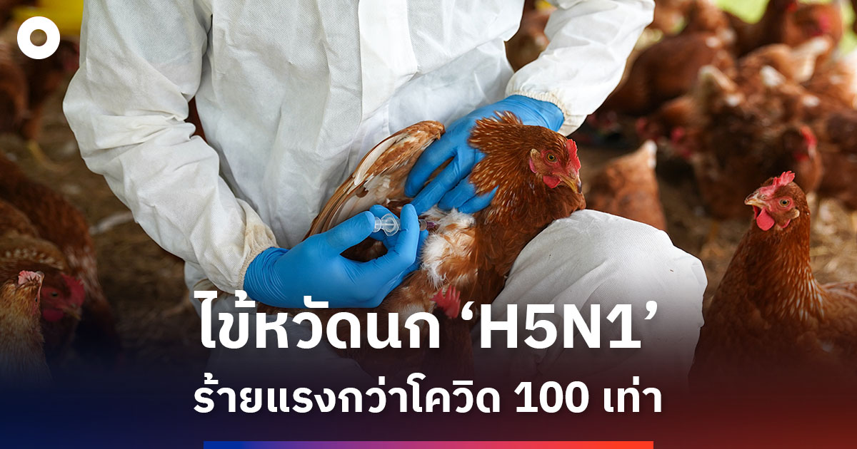 ระบาดอีกแล้ว! ผู้เชี่ยวชาญเตือนไข้หวัดนก ‘H5N1’ อาจร้ายแรงกว่าโควิด 100 เท่า