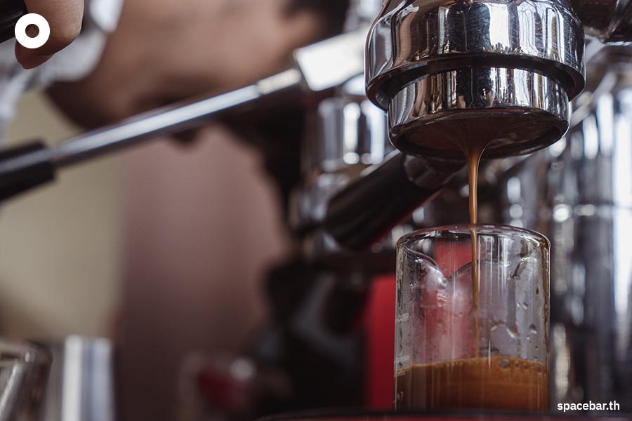 Photo Story: สัมผัสความกลมกล่อมจากเมล็ดกาแฟคั่วหอมกรุ่น ริมทะเล ณ DRIP ...