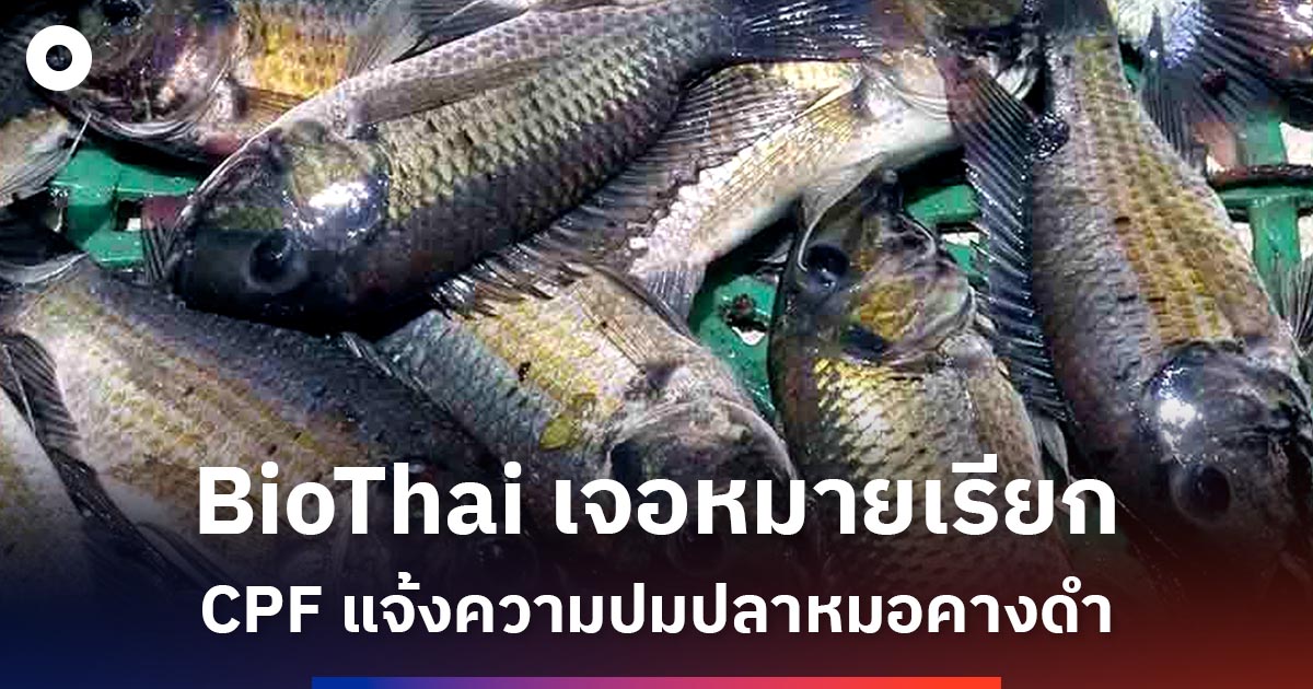 BioThai เจอ CPF แจ้งความปมปลาหมอคางดำ ตร.ออกหมายเรียกแล้ว