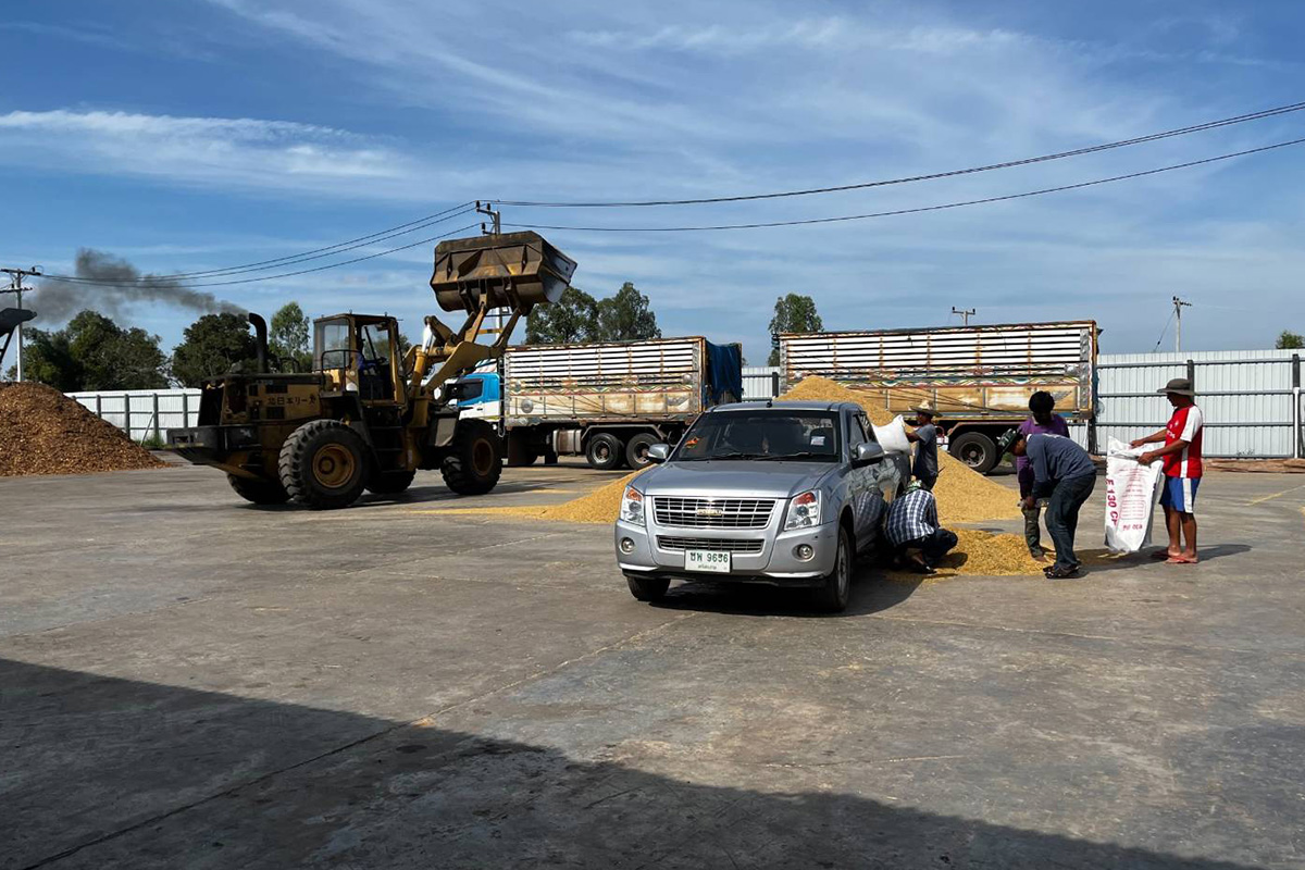 พาณิชย์ เตือนค้าข้าว ยึด กม. ย้ำซื้อข้าวเปลือกไม่กดราคา