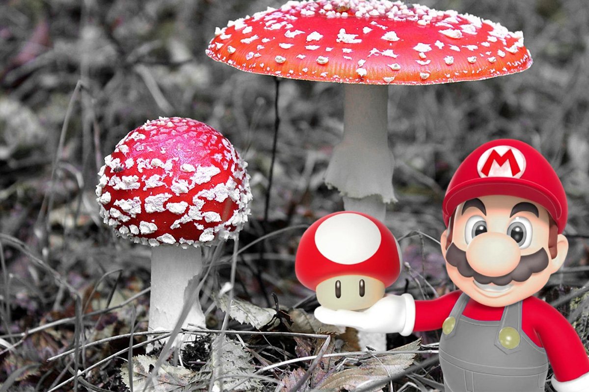 เปิดทฤษฎีที่ว่า ‘เห็ดเพิ่มพลัง’ ในเกม ‘Super Mario Bros’ คือ ‘เห็ดวิเศษ’