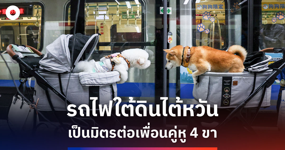 Photo Story : หมาแมวนั่งได้! รถไฟใต้ดินไต้หวันเปิดใช้บริการเป็นมิตรต่อ ...